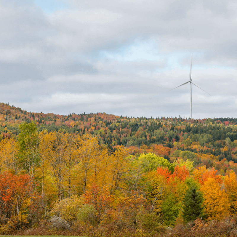 Projet de parc éolien Broughton : retour sur les portes ouvertes et ...