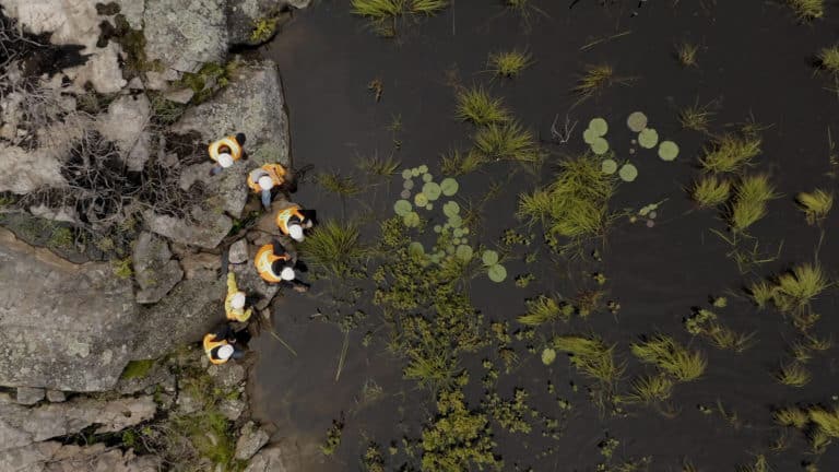 Henvey Inlet Wind - Pattern Energy