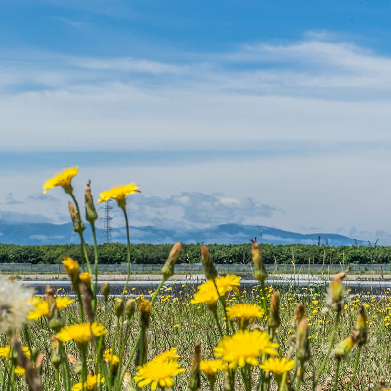 Pattern Energy Closes Sale of Japanese Assets - Pattern Energy