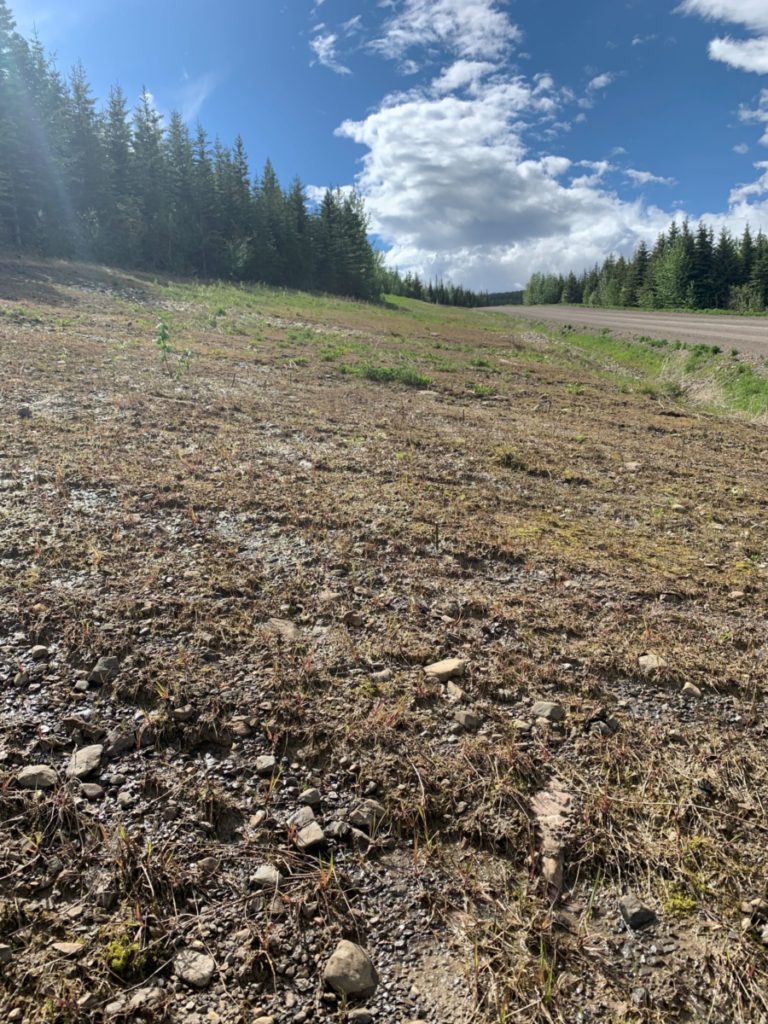 Cultivating Relationships at Meikle Wind - Pattern Energy