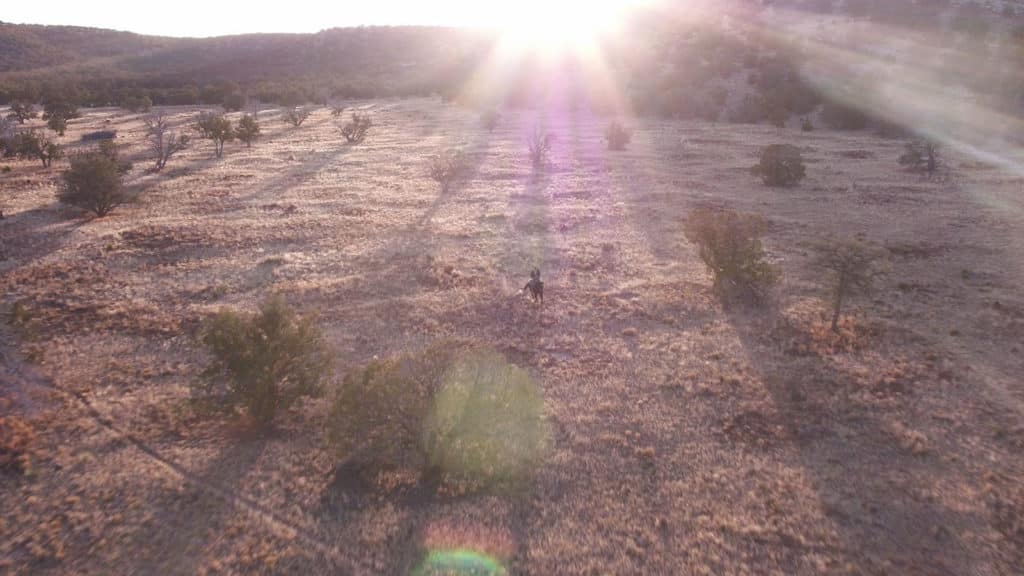 Renewable energy giant acquires SunZia transmission project - Pattern ...