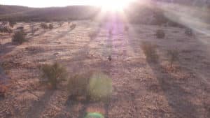 Renewable energy giant acquires SunZia transmission project - Pattern ...