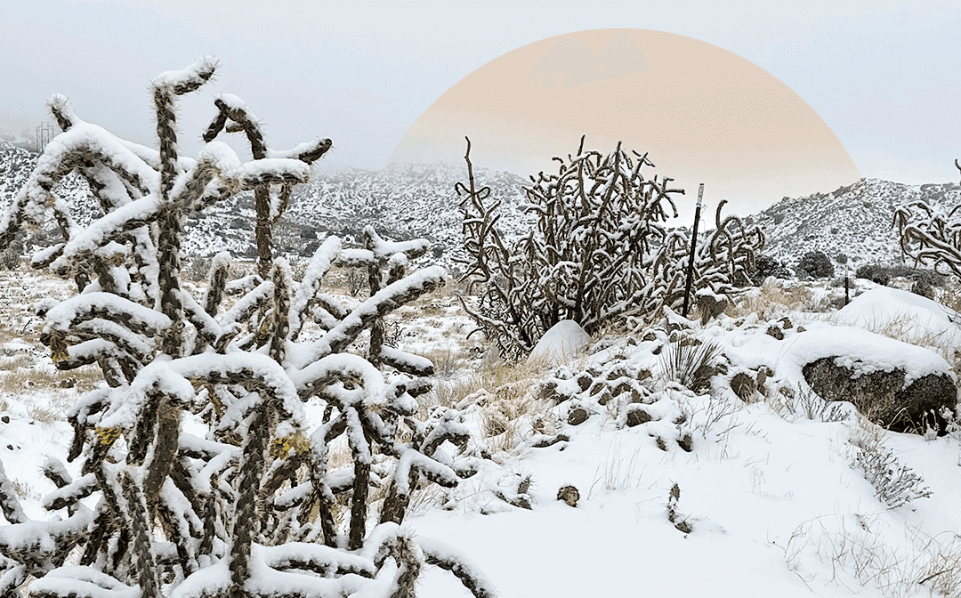 Show Us Your #ABQSnowDay - Pattern Energy