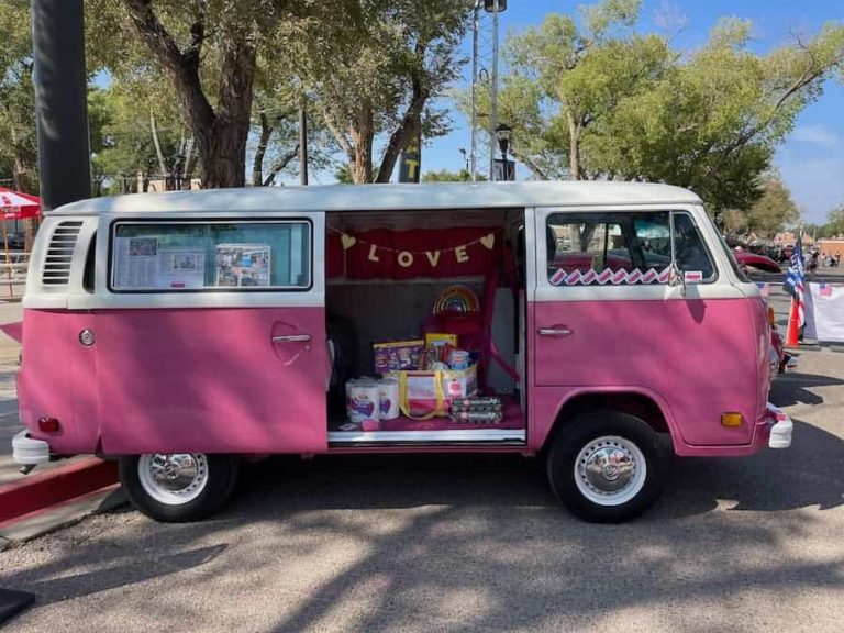 The Pink Bus - Pattern Energy