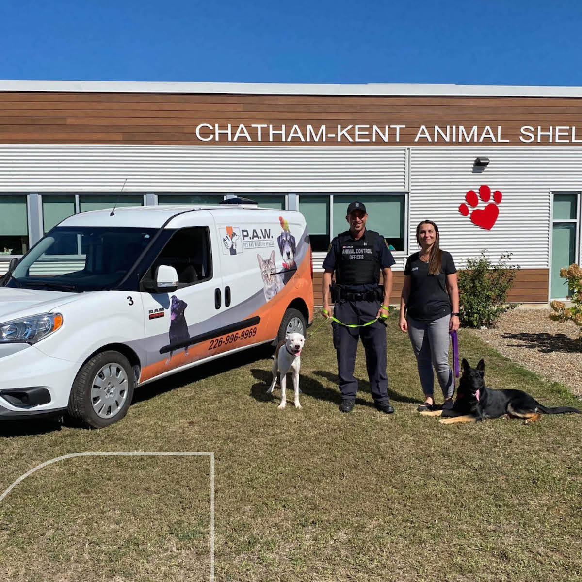 Going Above and Beyond at the Pet and Wildlife Rescue - Pattern Energy