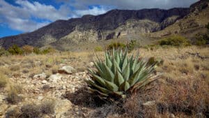 SunZia Wind and Transmission - Pattern Energy