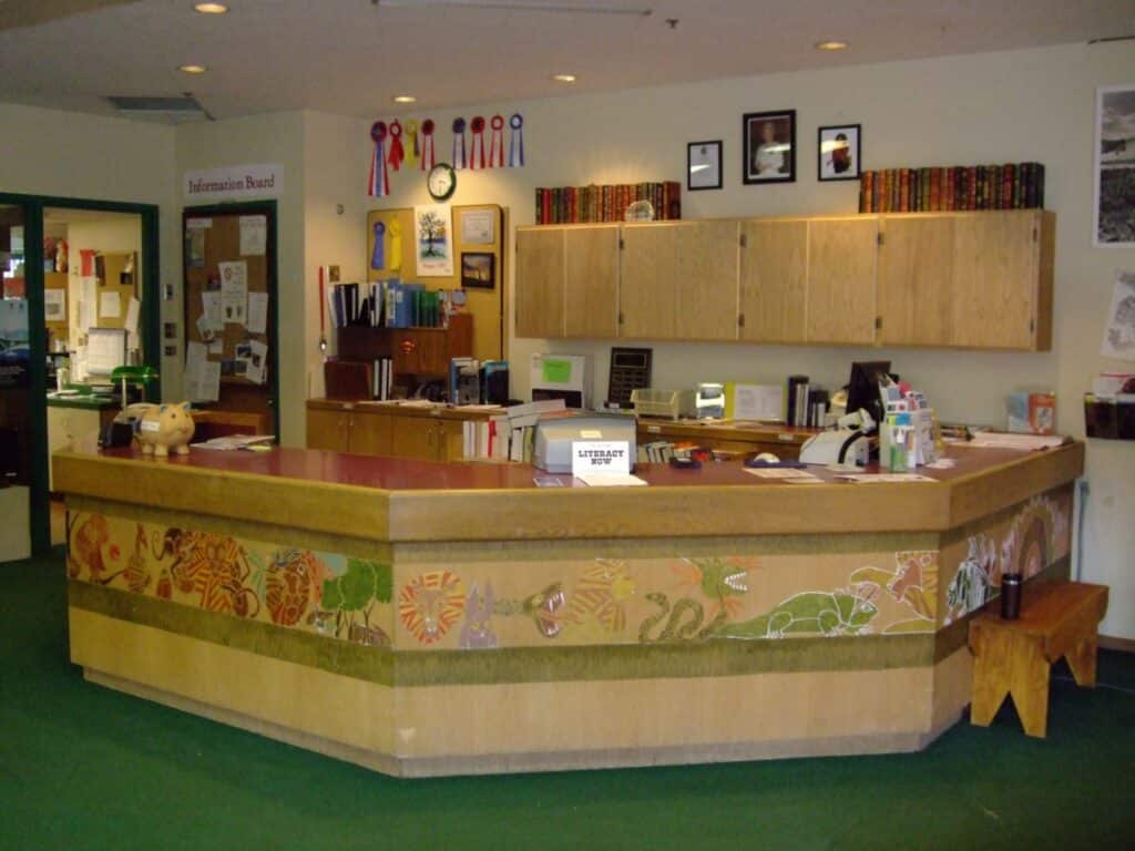 How This Small Town Library is Personalizing Experiences - Pattern Energy