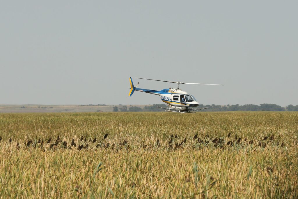 Cheyenne Bottoms Wildlife Area Maintains Vital Wetlands - Pattern Energy