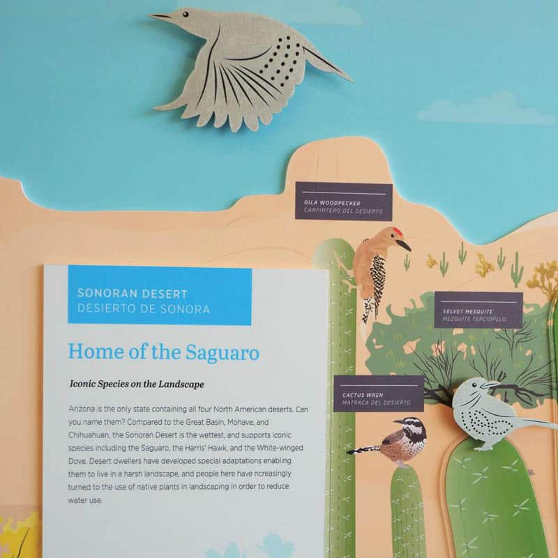 Le Rio Salado Audubon Center célèbre sa nouvelle exposition - Pattern ...