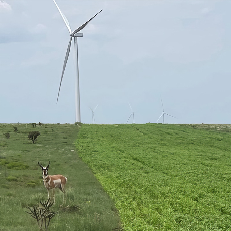 Two Years and Counting: Western Spirit Wind’s Environmental Reclamation ...